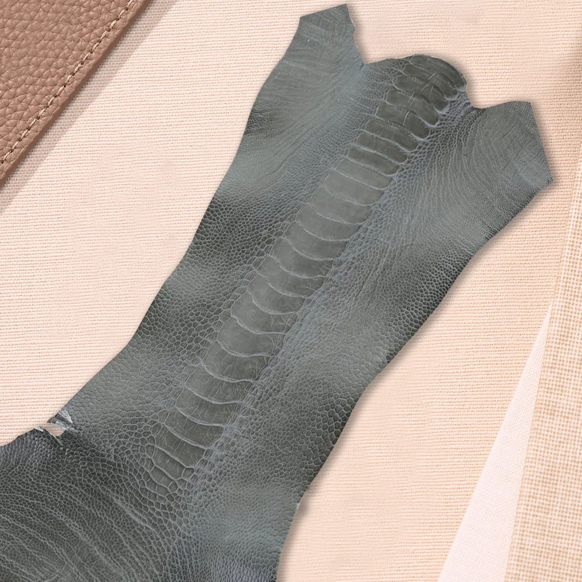 Omega Speedmaster Moonwatch Straps - Ostrich Leg Light Grey – Liger Straps